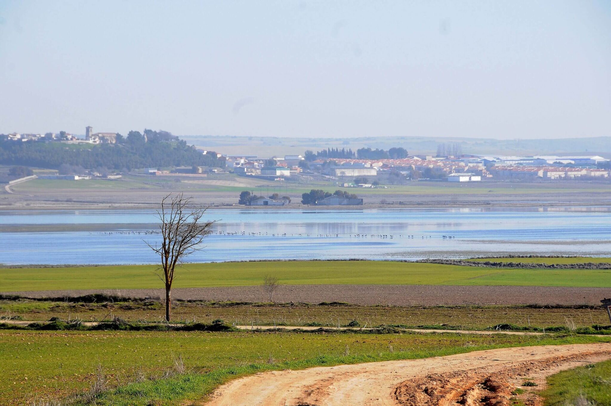 Diario Más Noticias - Día internacional de los Humedales en la Reserva ...
